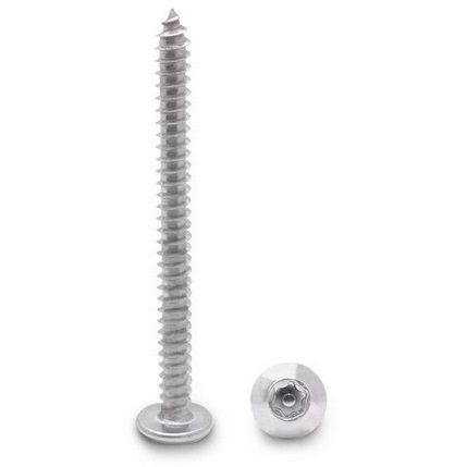Stainless Steel #12 X 2" Long Screw 6 Lobe(T-27)